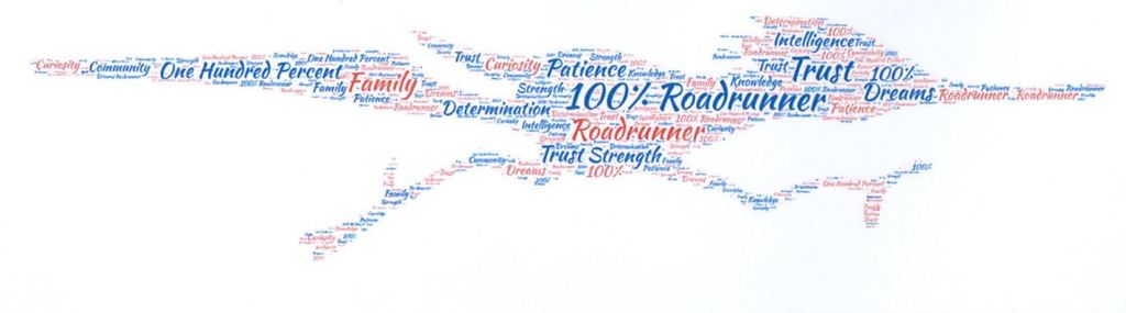 Live Feed | Holbrook Unified School District #3